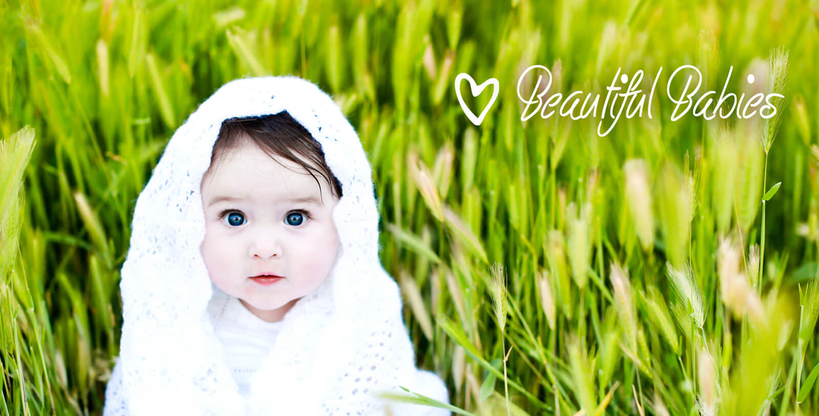 Home - International photographer, Tamworth, Australia, Phnom Penh Cambodia